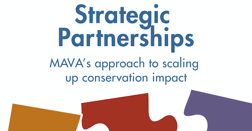 Publication on Strategic Partnerships – an effective approach to ...