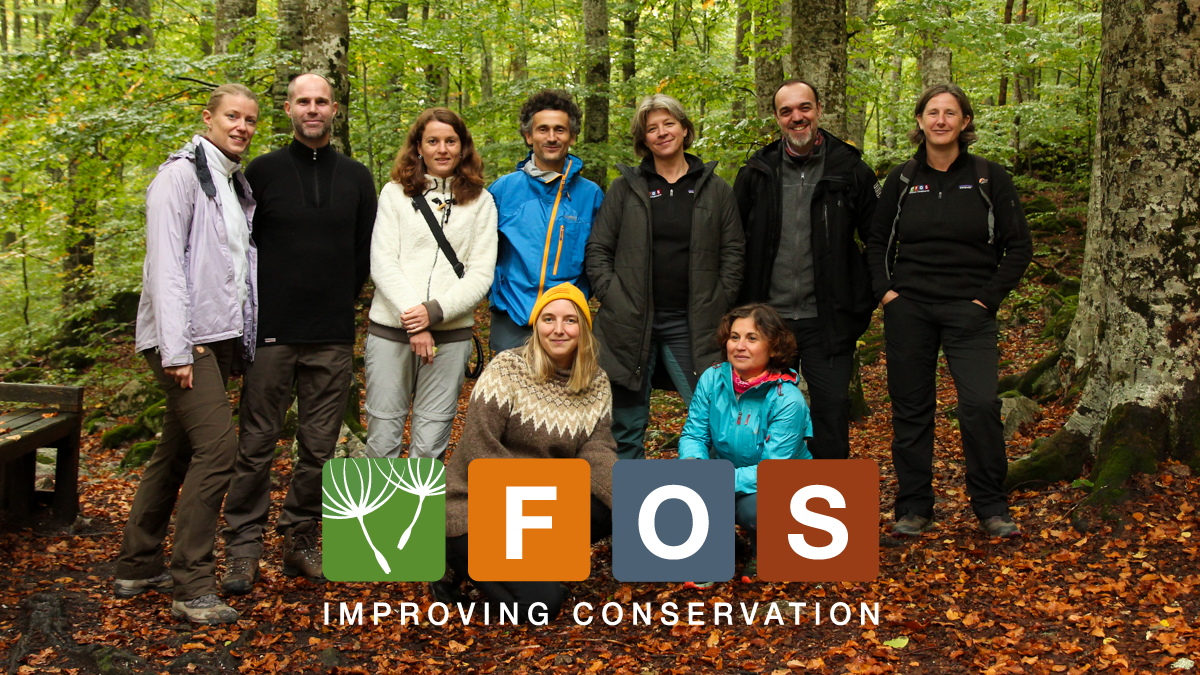 FOS Europe - Foundations of Success