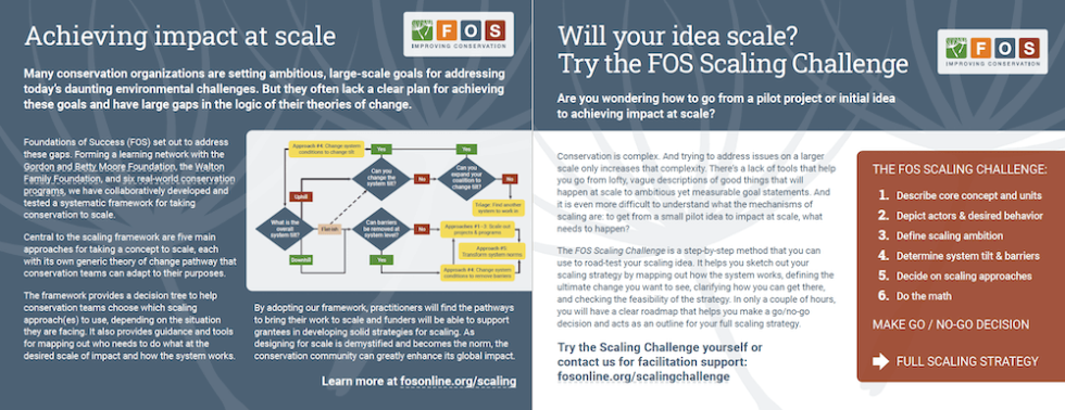 Framework for achieving impact at scale | Foundations of Success